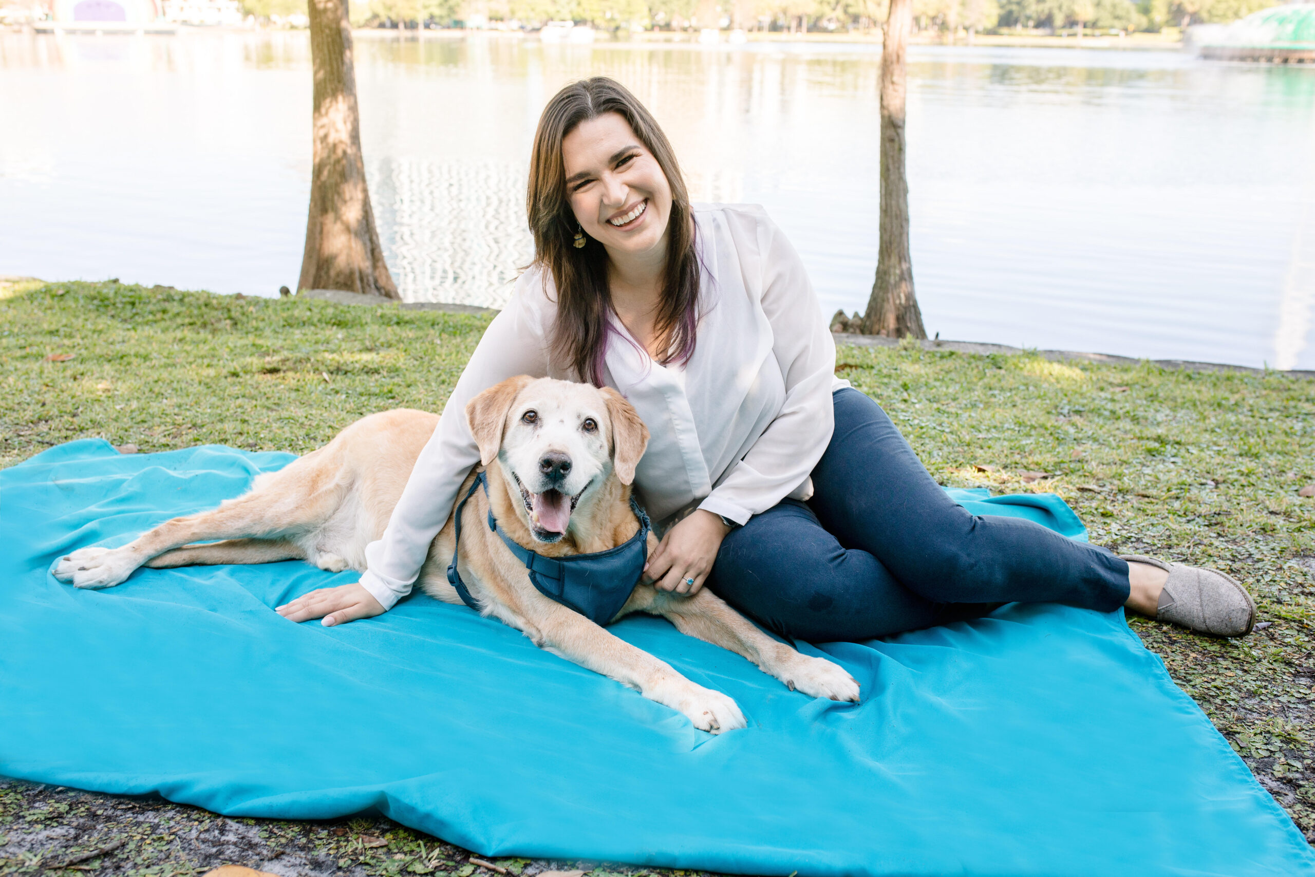 Veterinary Mentorship Information | Ready, Vet, Go