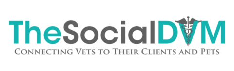 Best Veterinary Mentorship Nationwide | Ready, Vet, Go