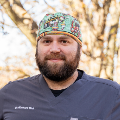 About Ready Vet Go | Vet Mentorship Program Nationwide