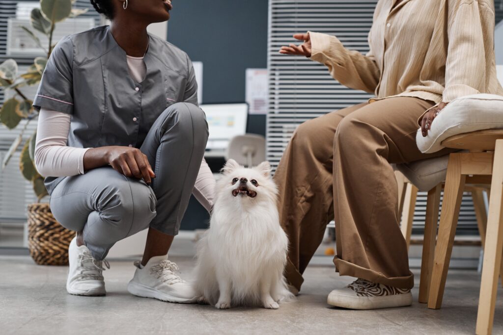 Tuning In: Is Attunement The Key To Connection? | Ready, Vet, Go