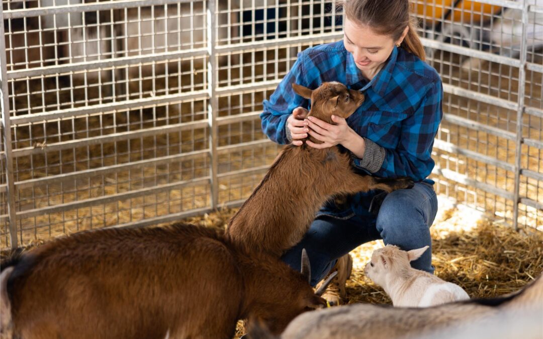 Know Your Worth: Understanding Your Production | Ready, Vet, Go